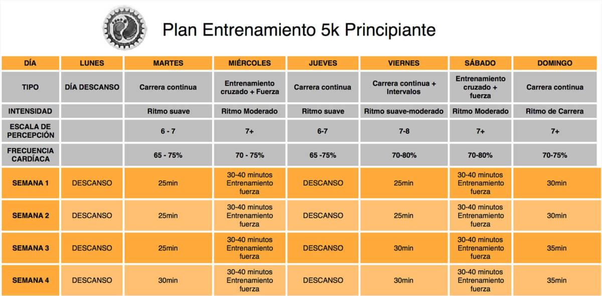 Planes De Entrenamiento Correr 5k Todos Los Niveles Descarga Gratuita