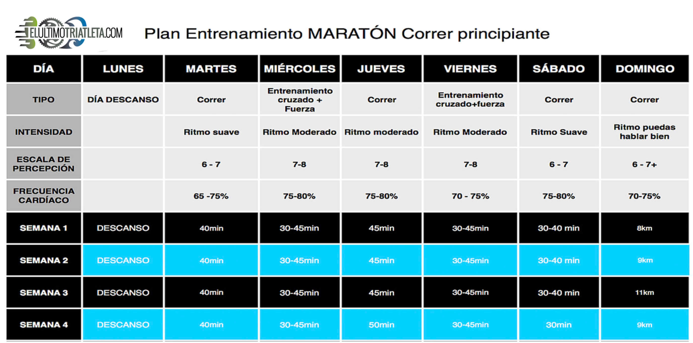 Plan Entrenamiento Marat n Todos Los Niveles Descarga Gratuita